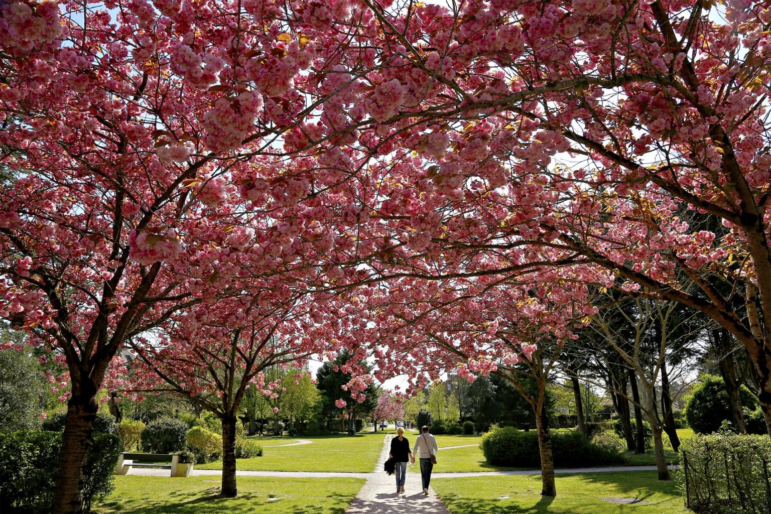 Jardin d'Ypres - Office du tourisme du Touquet-Paris-Plage en Côte d’Opale